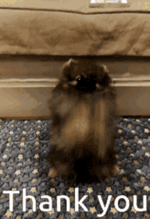 Paranormal Files 7 – Ghost Chapter Collector’s Edition