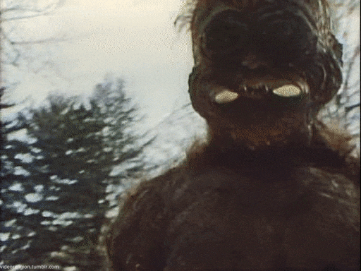 Wazzaaaap Gif