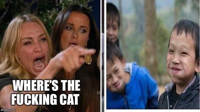 And there’s the end of the cat meme | Eatgrueldog