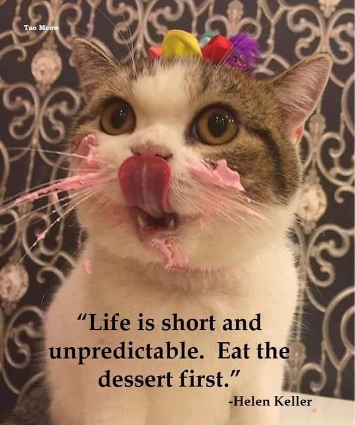 Monday June 5th - Open Thread - The Last Refuge