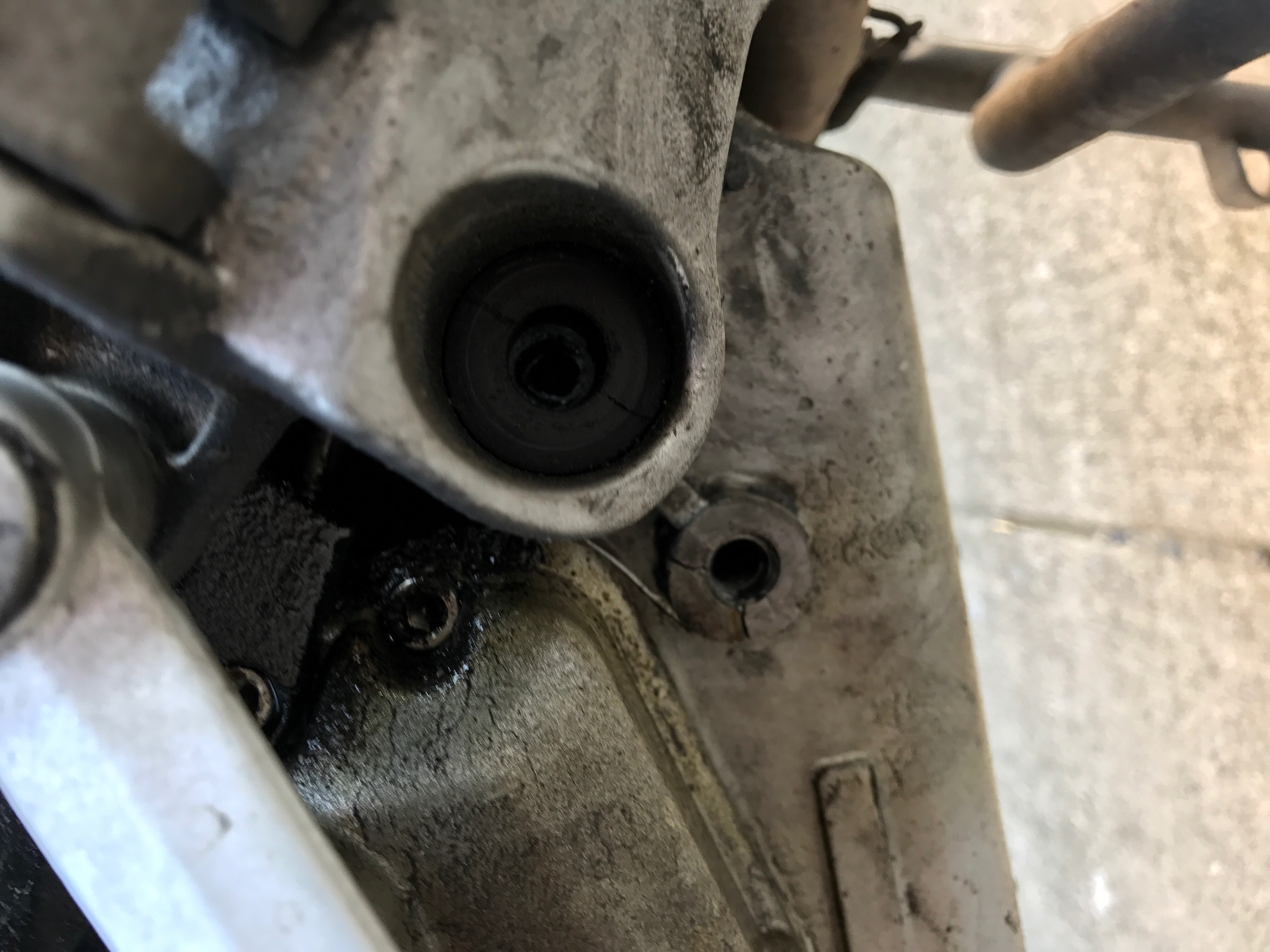 Disqus Profile - lizmoodykiniery