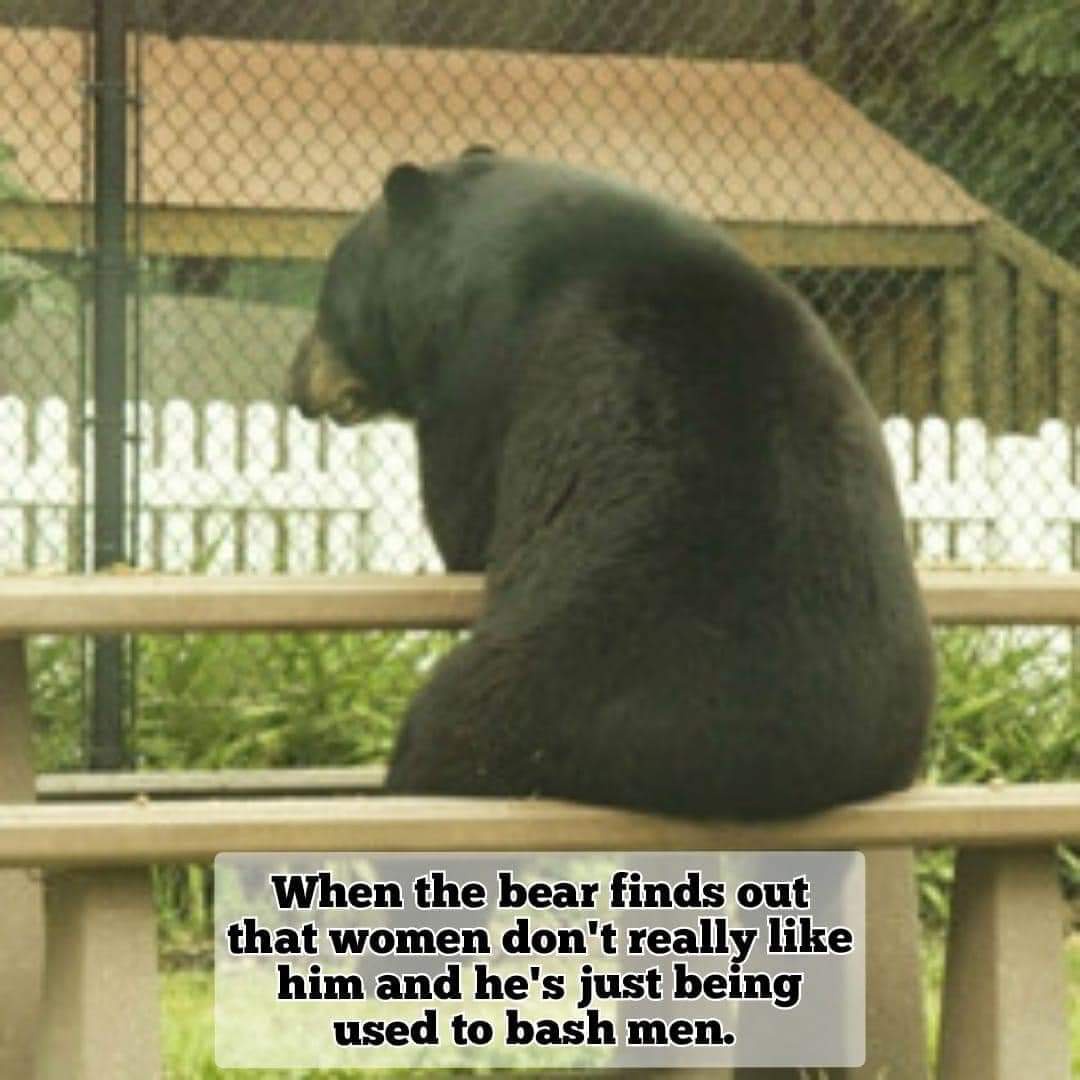 Disqus Profile - momerath