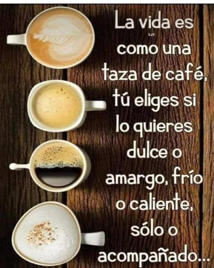 Disqus Profile - rolypolyolywhatdaqque