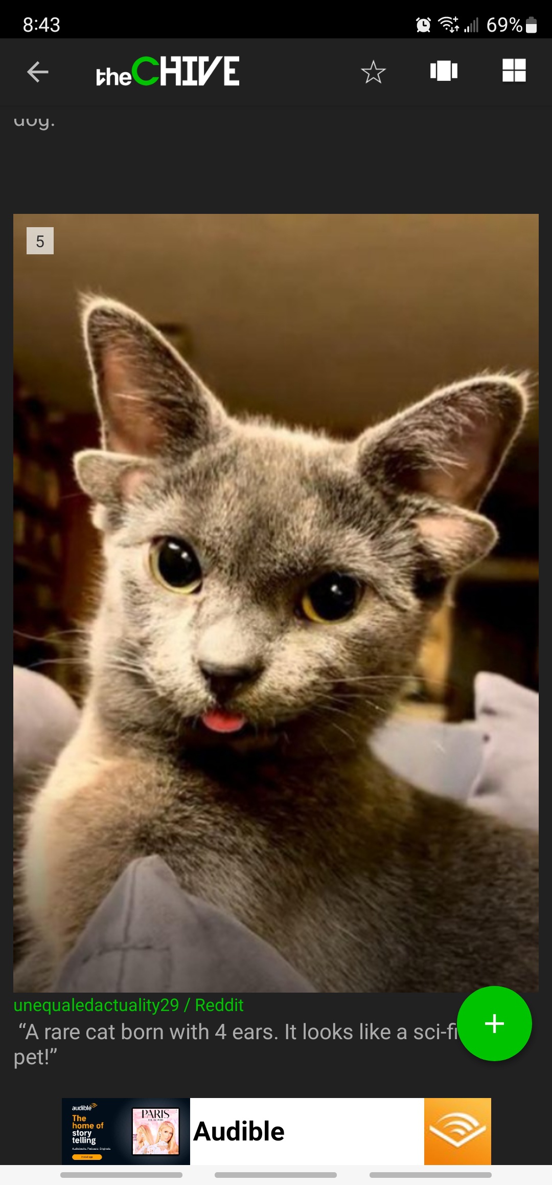 Rules? Genetics Doesn’t Give a Damn About Your Rules!