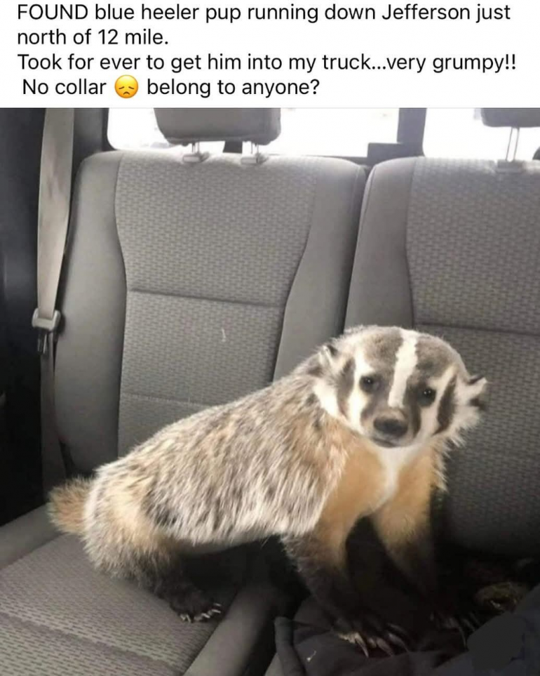 Disqus - National Italian Beef Day And Make Your Own Saturday Headlines