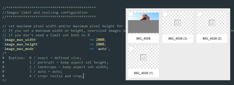 image_resizing inconsistent results · Issue #588 · trippo/ResponsiveFilemanager · GitHub