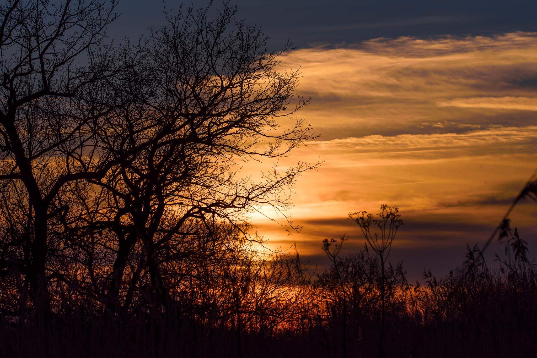 Weekly Photography Assignment: Sunrise & Sunset | Nature TTL