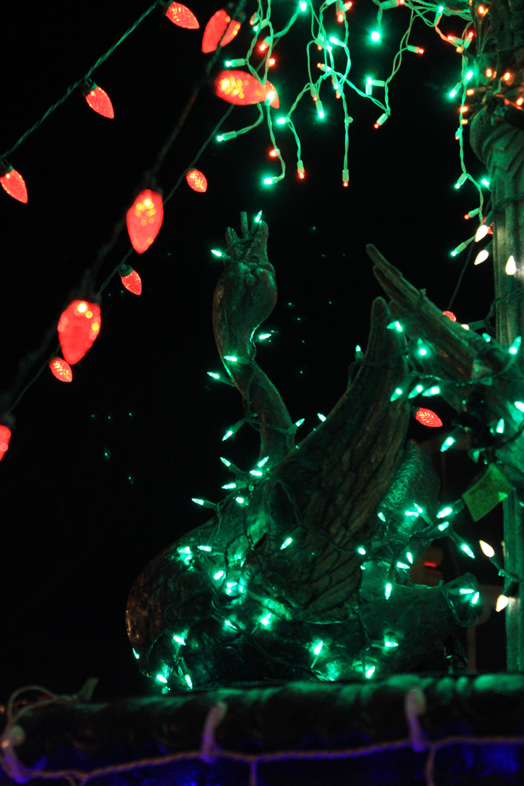 Photography Challenge - Creatures of the Night! - Digital Photo Mentor