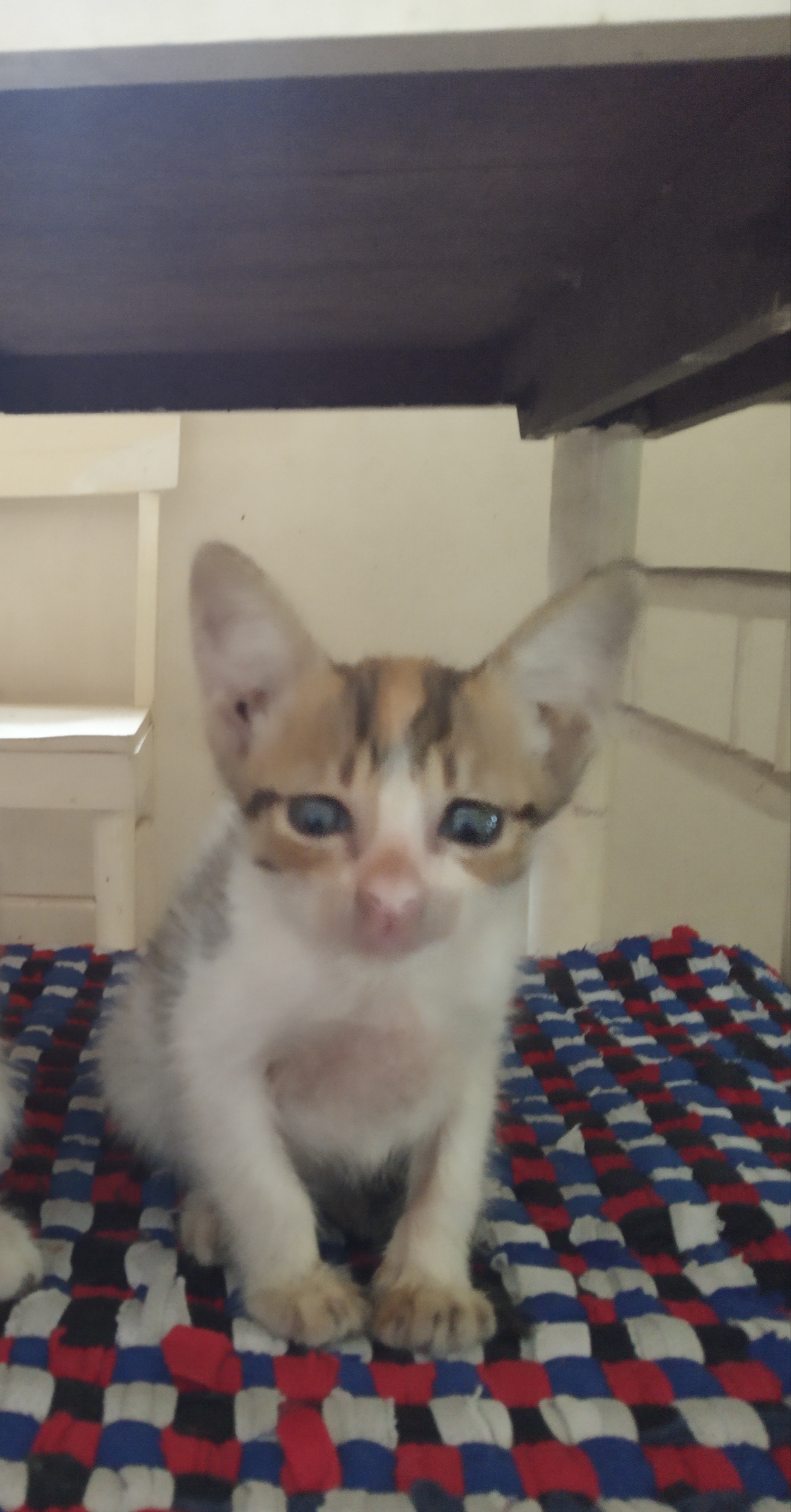 Ramia – Hero & Demon Lord Chronicles - chapter 1.8.1 - Kissmanga