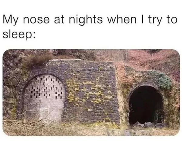 Late-night jokes to laugh at while you try to fall asleep, yet again