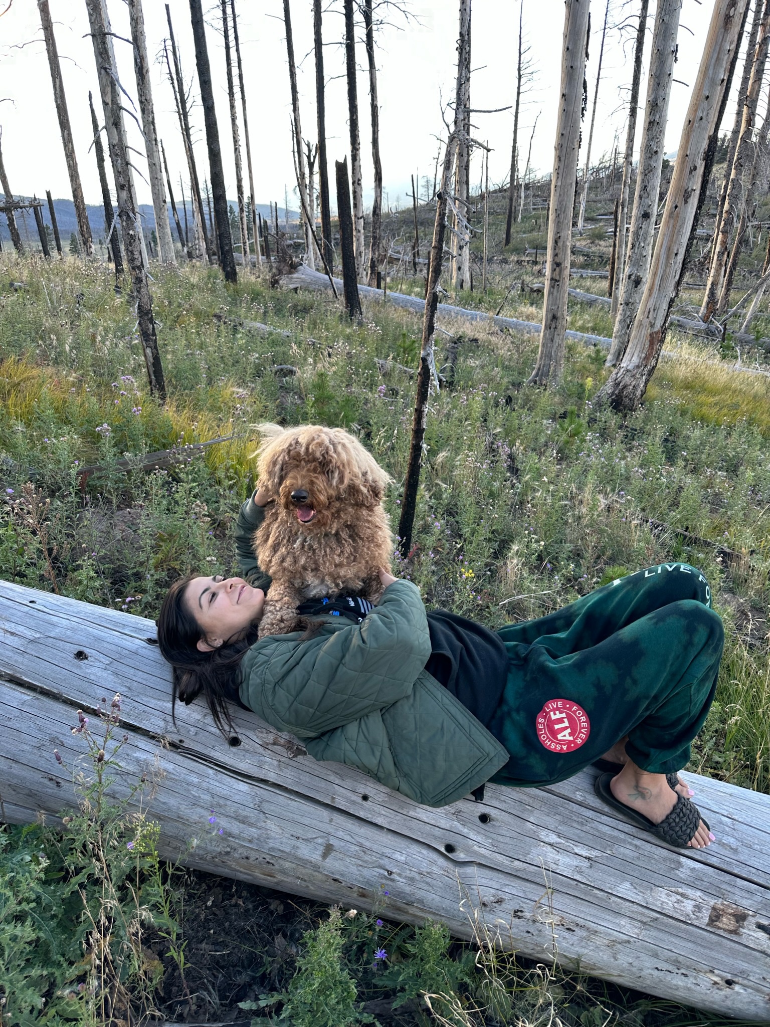 Disqus Profile - xxxstxrmyxxx