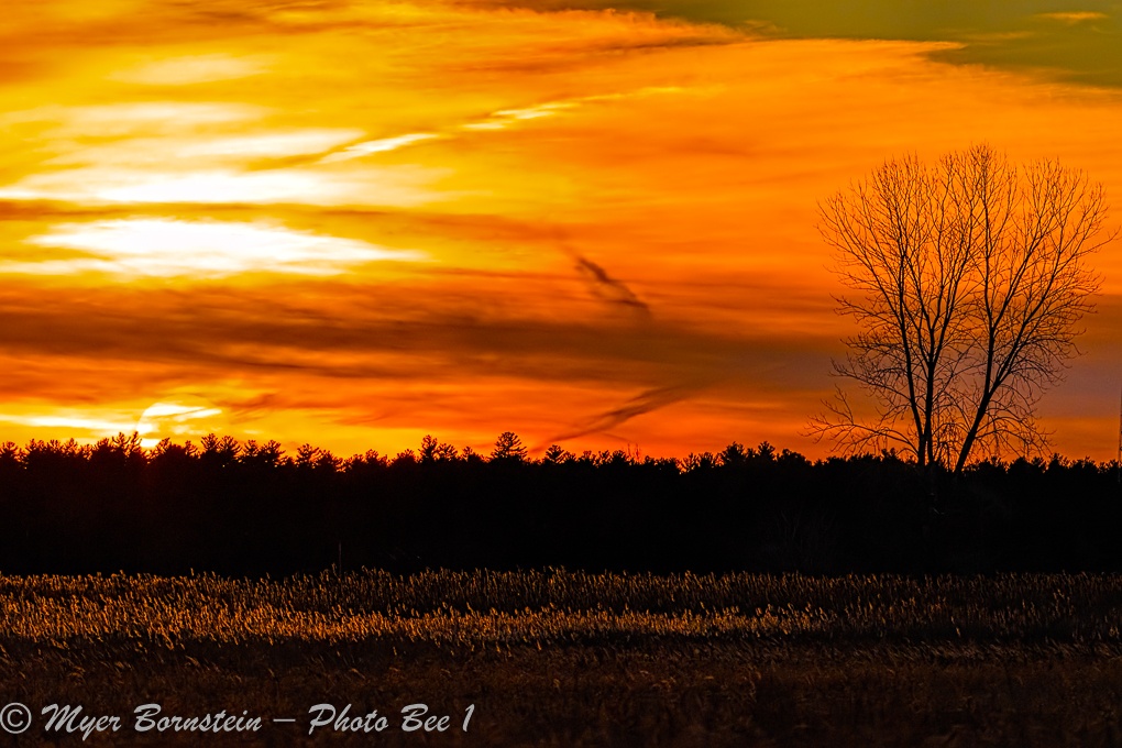 Weekly Photography Assignment: Sunrise & Sunset | Nature TTL