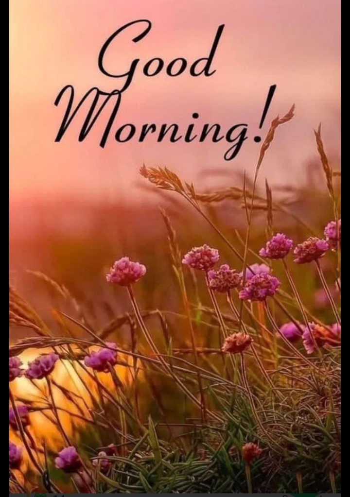 Disqus Profile - rolypolyolywhatdaqque