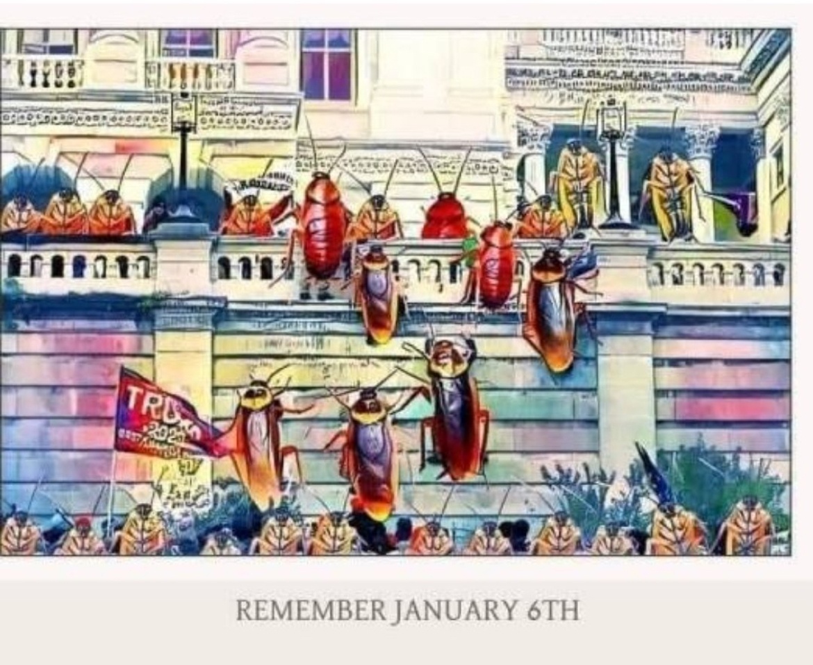 God Made Nikki Haley, Too | Bacon's Rebellion - Democracy Thrives in ...