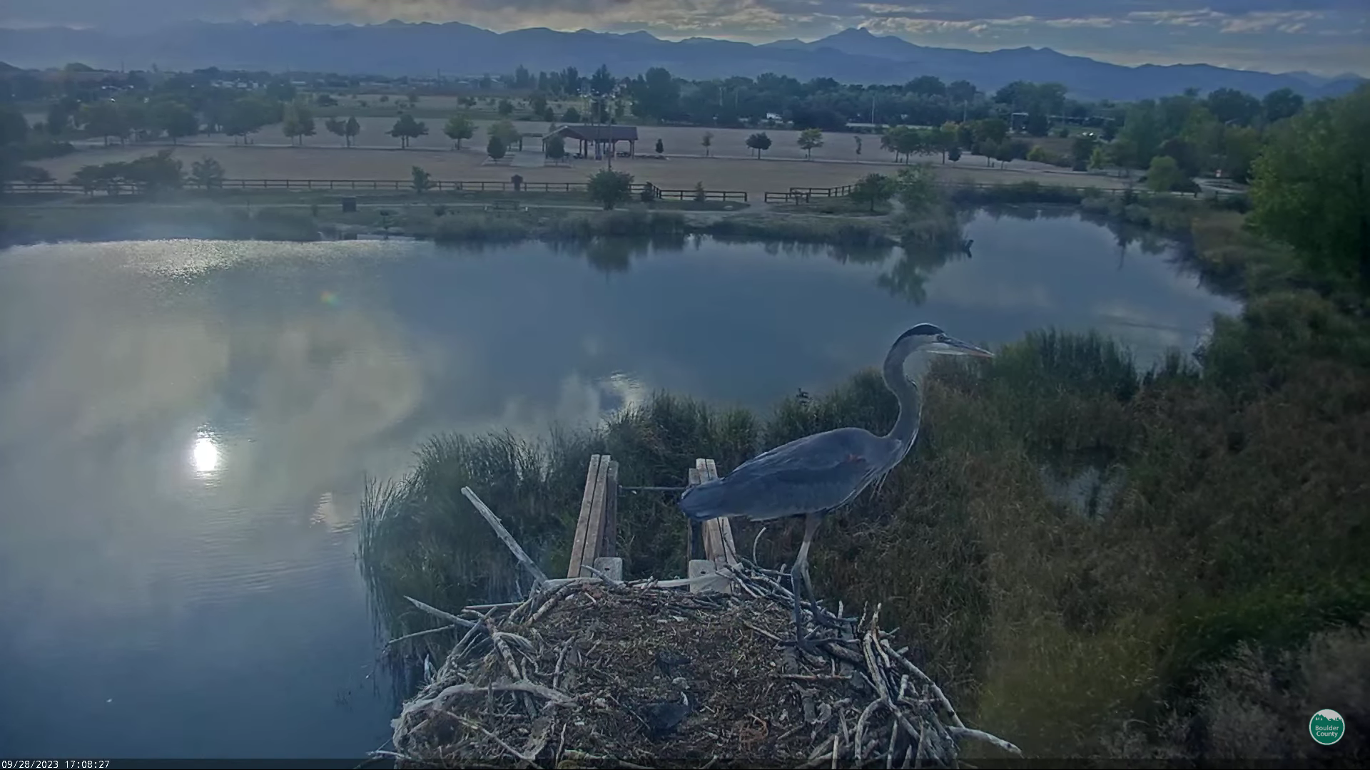 Disqus - Osprey Camera - Boulder County