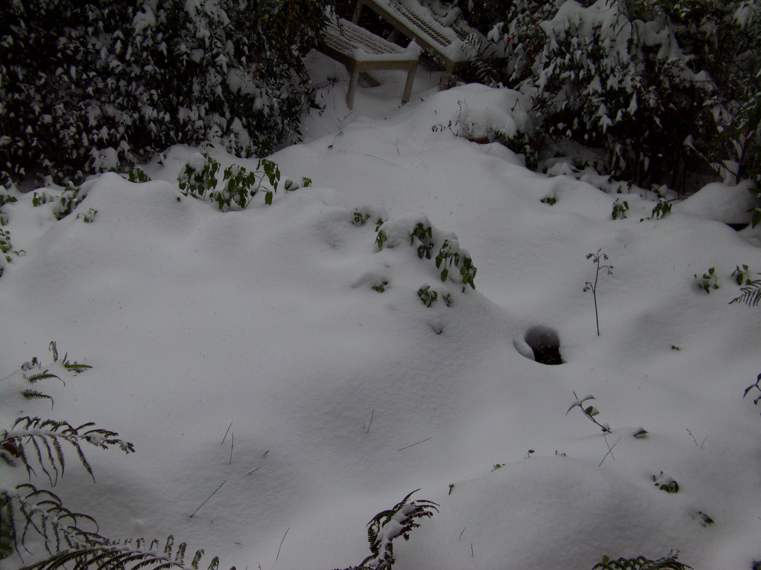 OT: Gulf Coast Snowmageddon on Tue. with Polar Vortex | IMDB v2.3