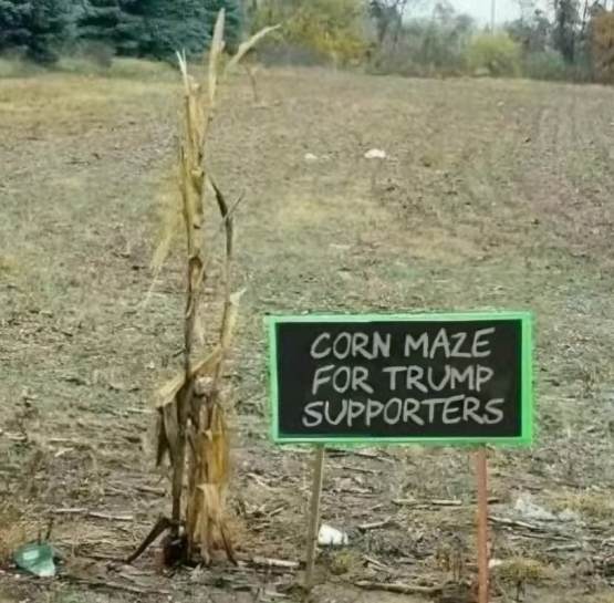 Corn Maze for TFG supporters - Democratic Underground Forums