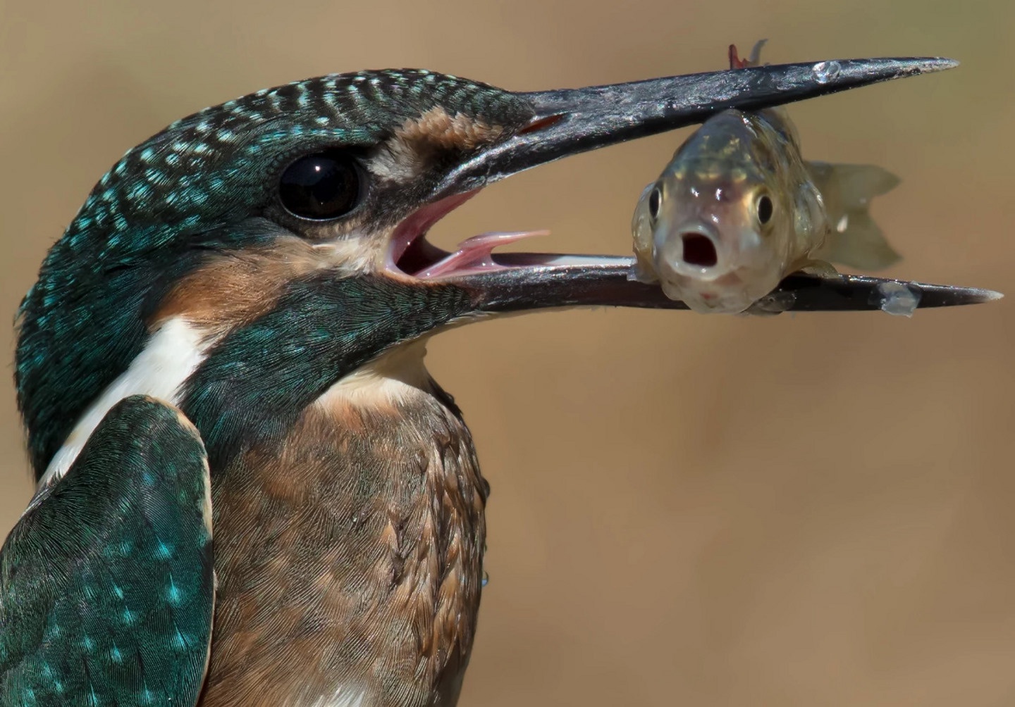 Hmmm... Time for an Internet Time-Out