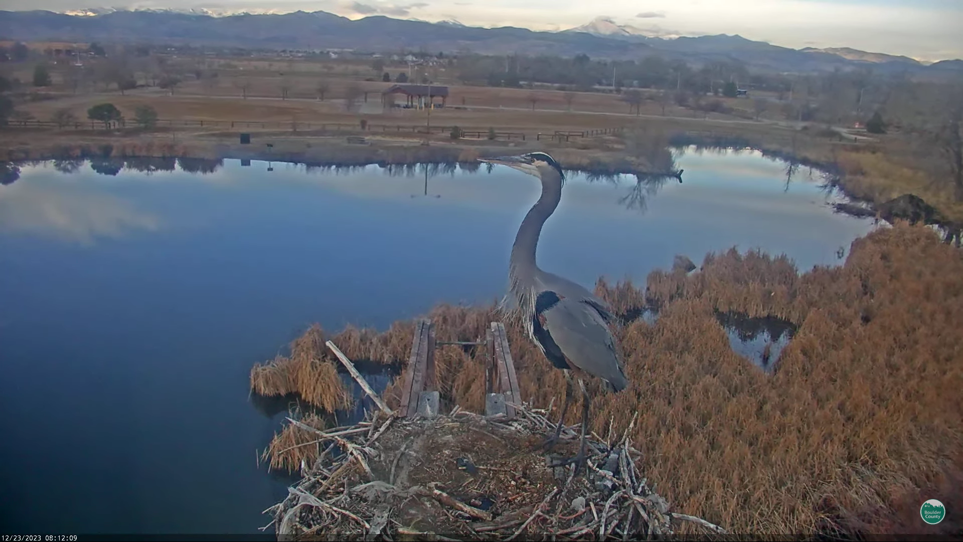 Disqus - Osprey Camera - Boulder County