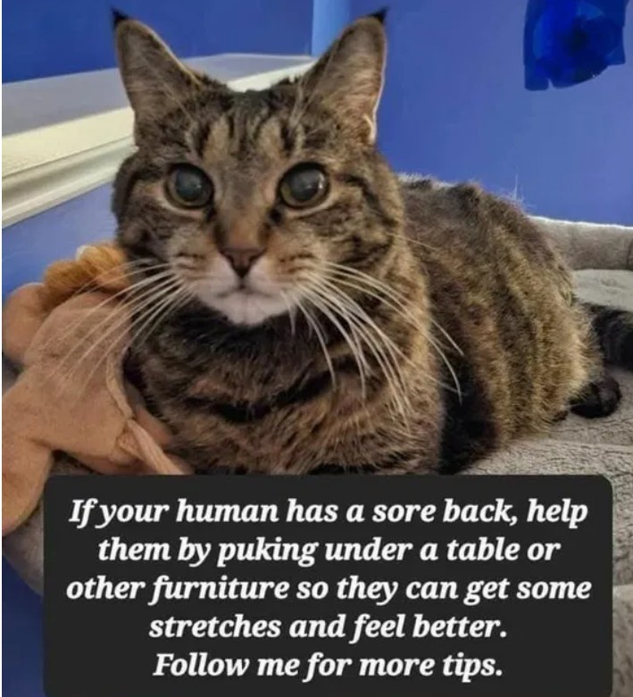 Disqus Profile - rolypolyolywhatdaqque