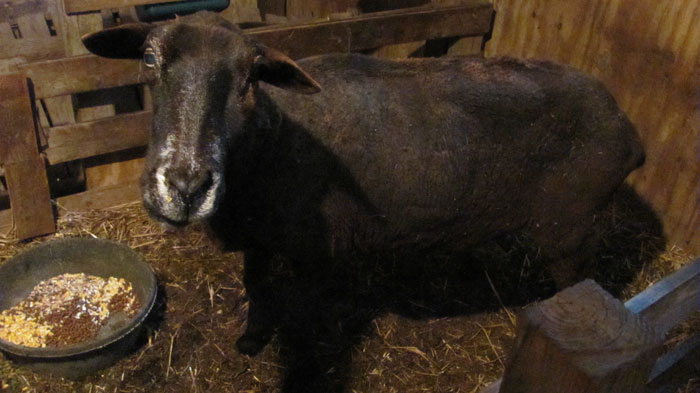 Monday Sep, 9 2019 - Kevin & Kell