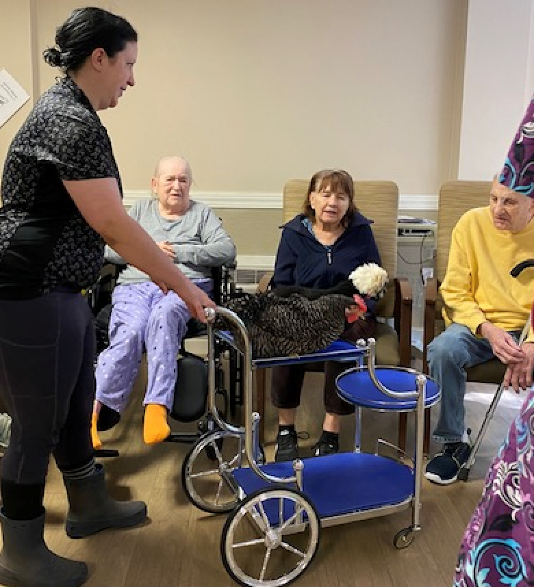 Disqus - Home | Crazy Acres