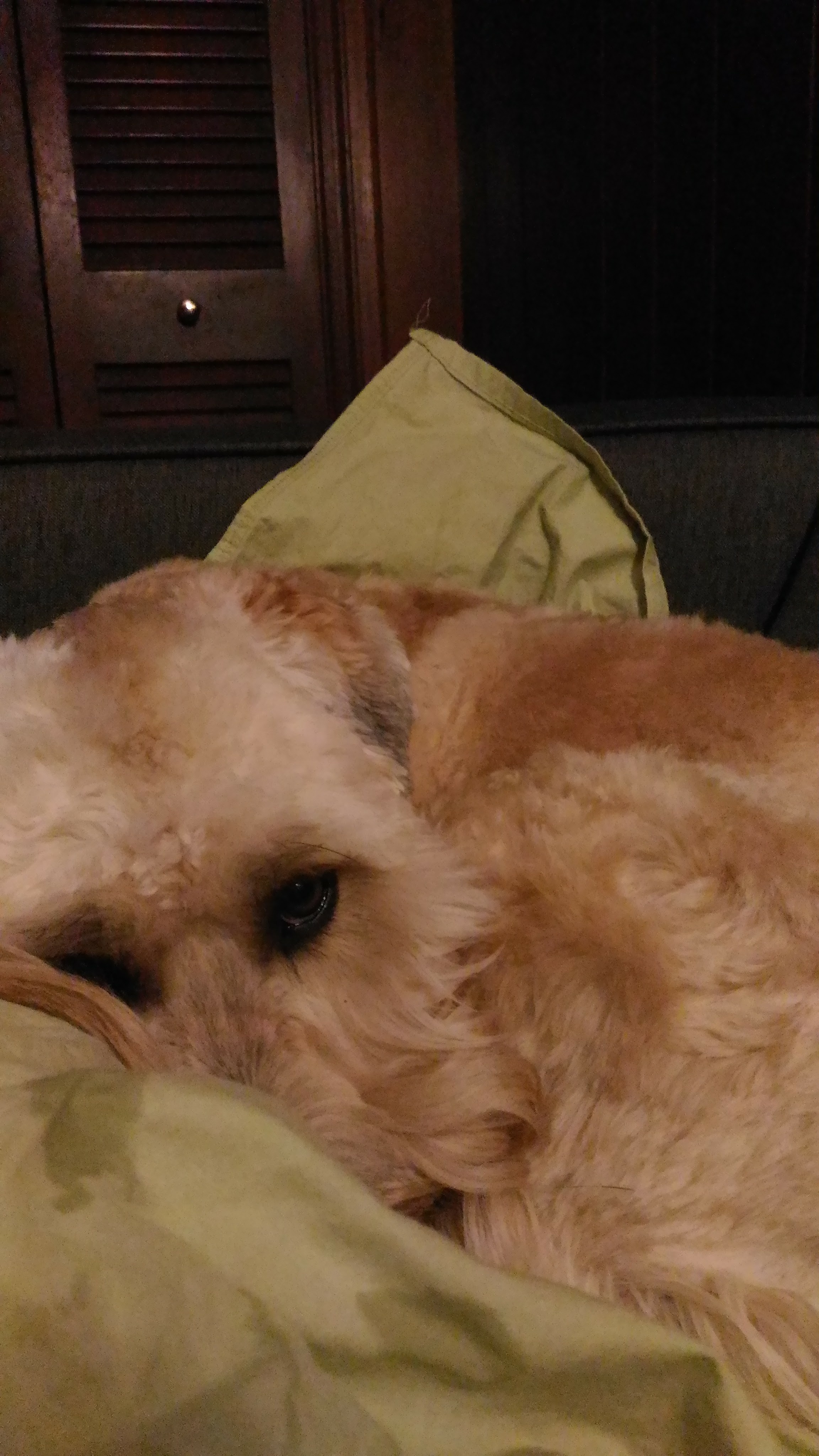 Namesake - Warrick, Selva, and Fred: Cool things about Earth