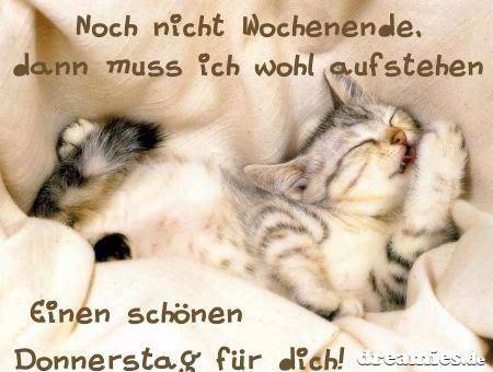 Ms. Holmes 6 – Letter M Collector’s Edition