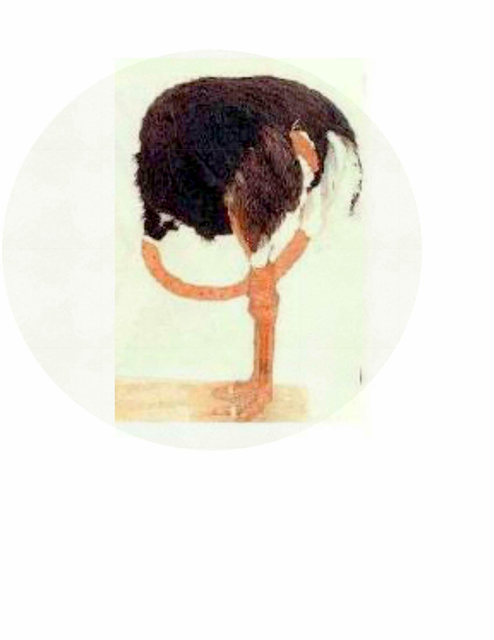 God Made Nikki Haley, Too | Bacon's Rebellion - Democracy Thrives in ...