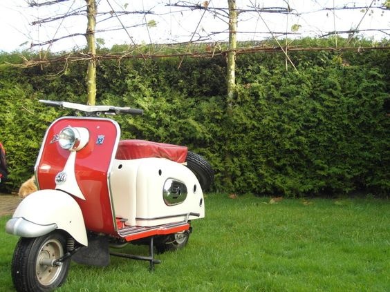 Bitri Team - Promotional Photograph