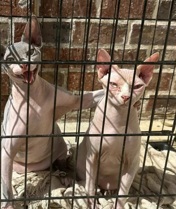 Disqus Profile - chet_daniel