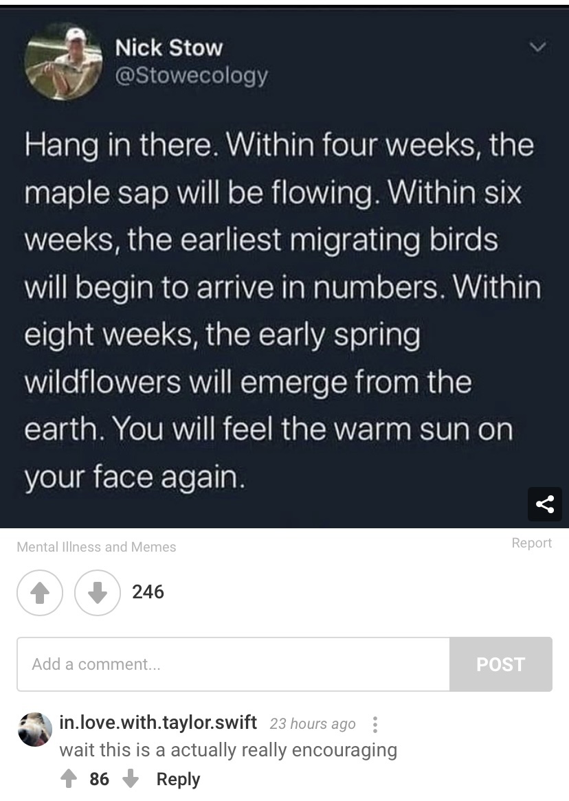 These Sad Memes Make Me Happy