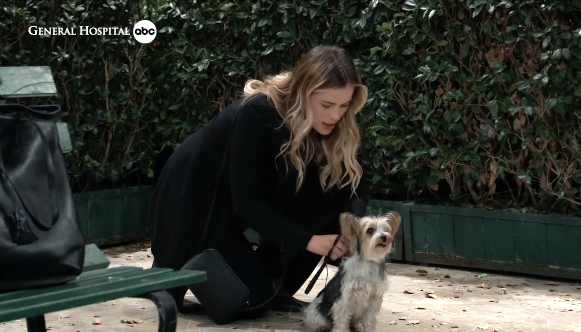 Disqus - Perkie's Observations: Ava Is Stunned When Ric Denies Their ...