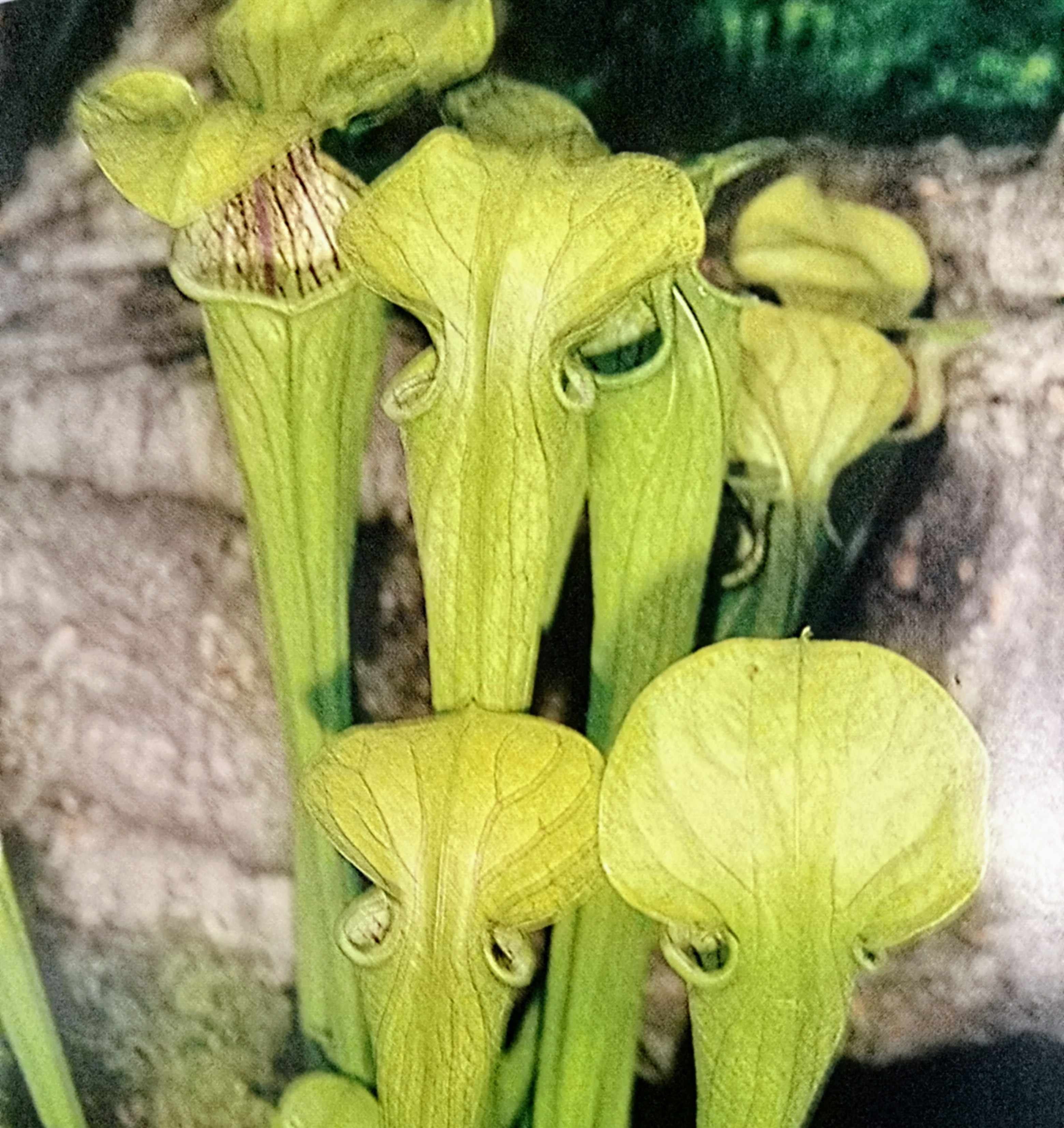 Disqus Profile - russellrand