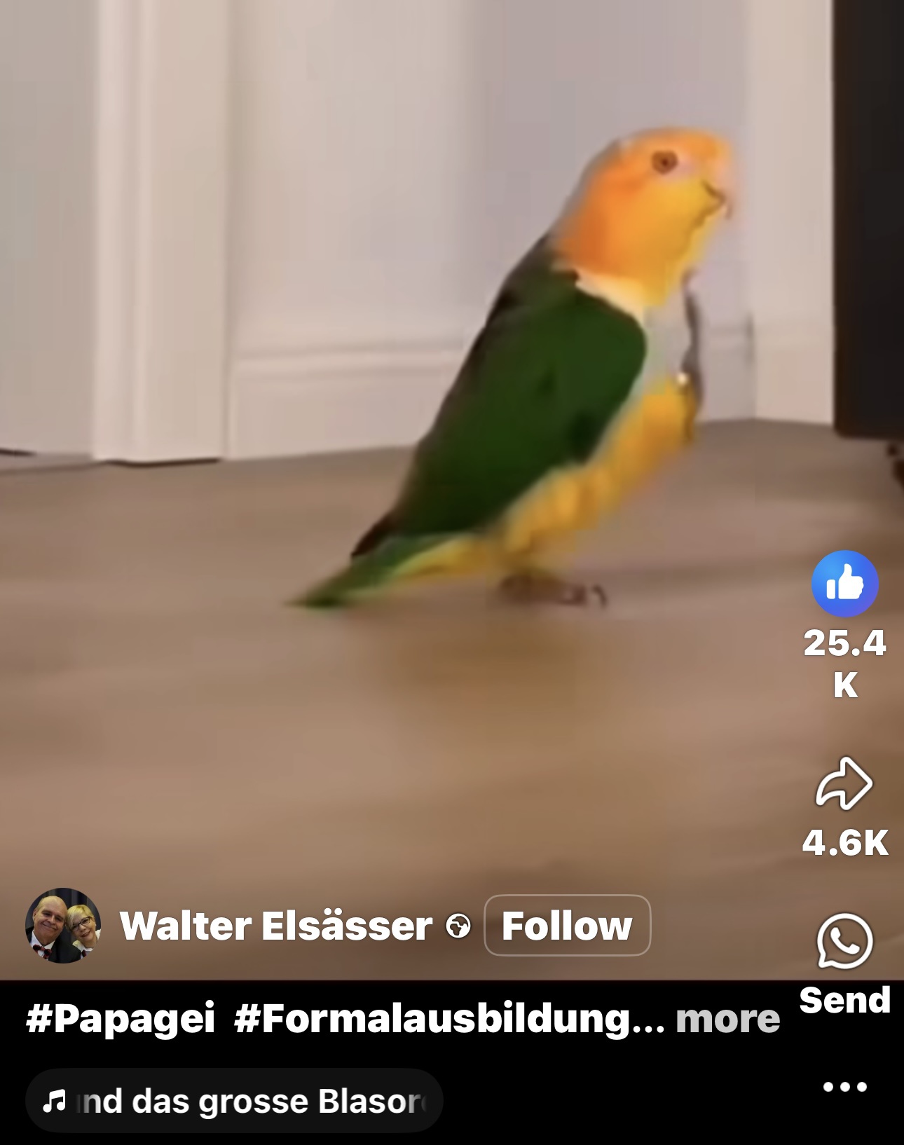 Disqus Profile - disqus_mUFkiOt3RO