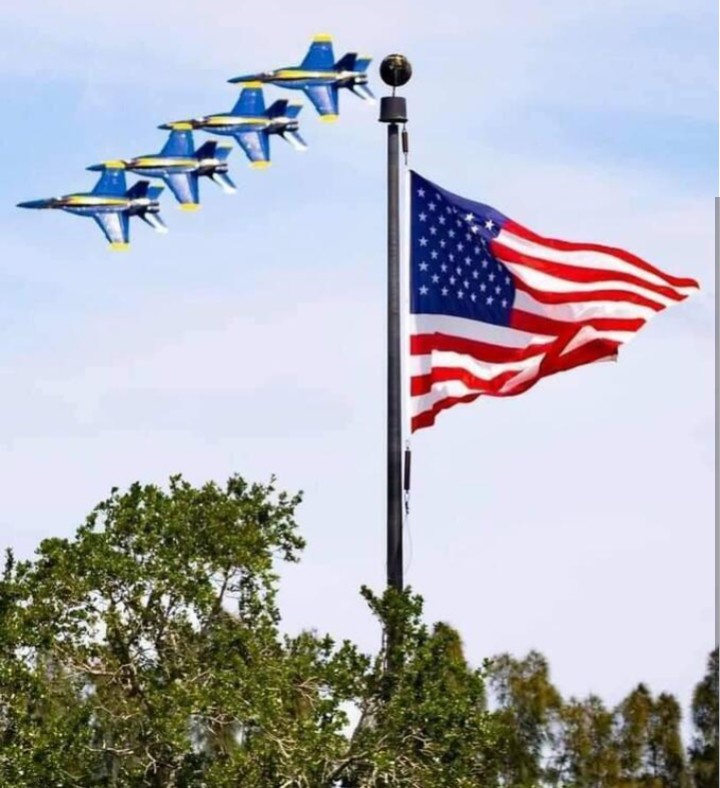 Disqus Profile - rolypolyolywhatdaqque