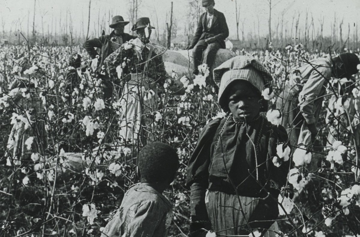 Disqus Profile - michelle_teller