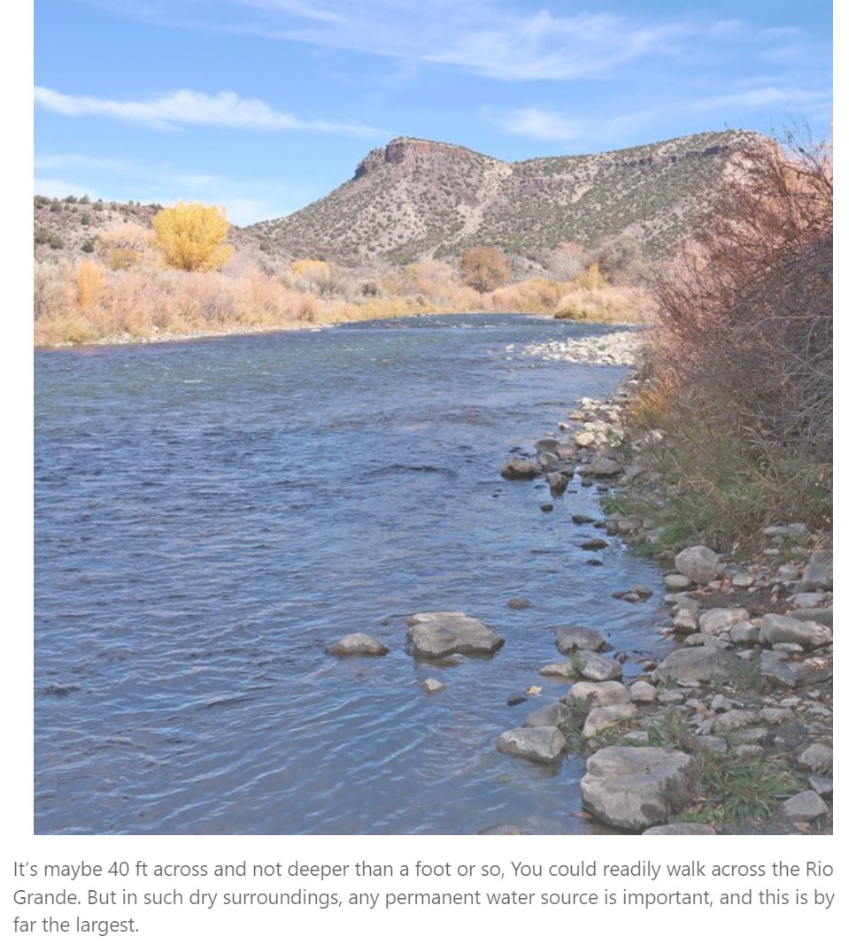 Disqus Profile - disqus_XZf7Br1fON