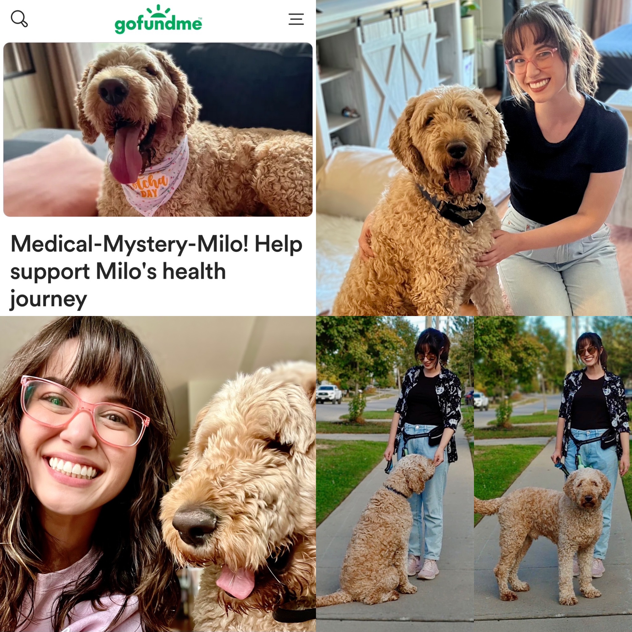 Disqus Profile - theworldofcece