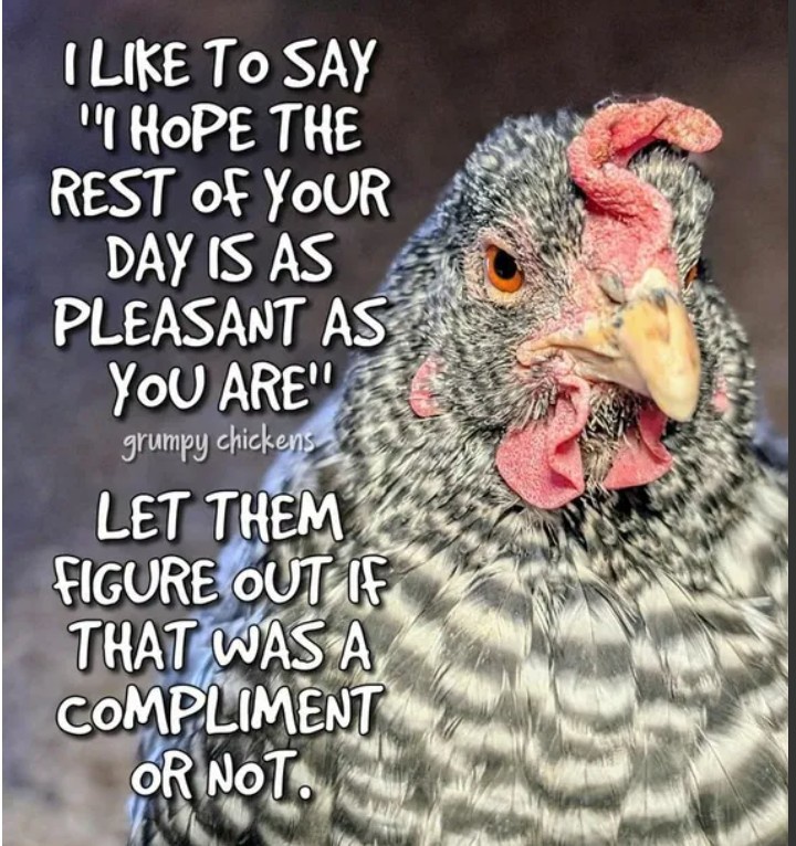 Disqus Profile - rolypolyolywhatdaqque