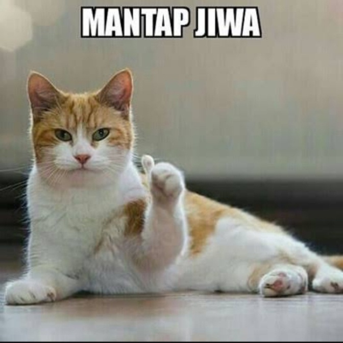 Disqus Profile - d0nn_qt