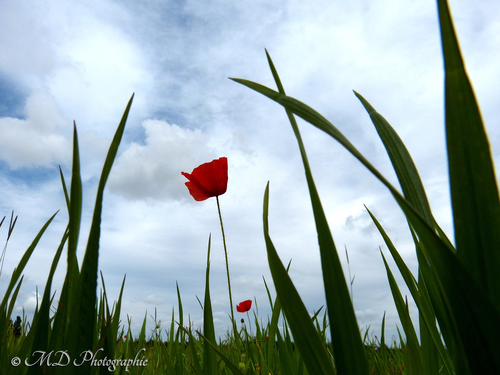 Comment progresser plus rapidement en photographie et toujours rester ...