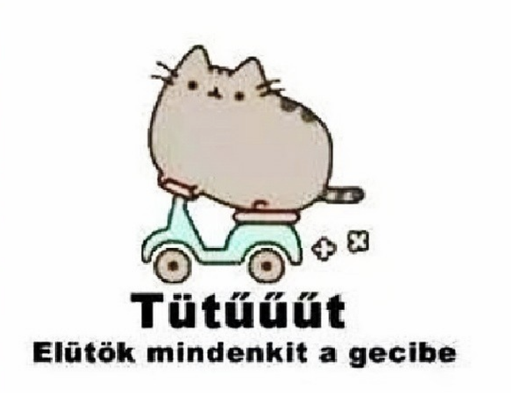 Kurva szar autók – Peugeot 206 GTI | HOLDKOMP