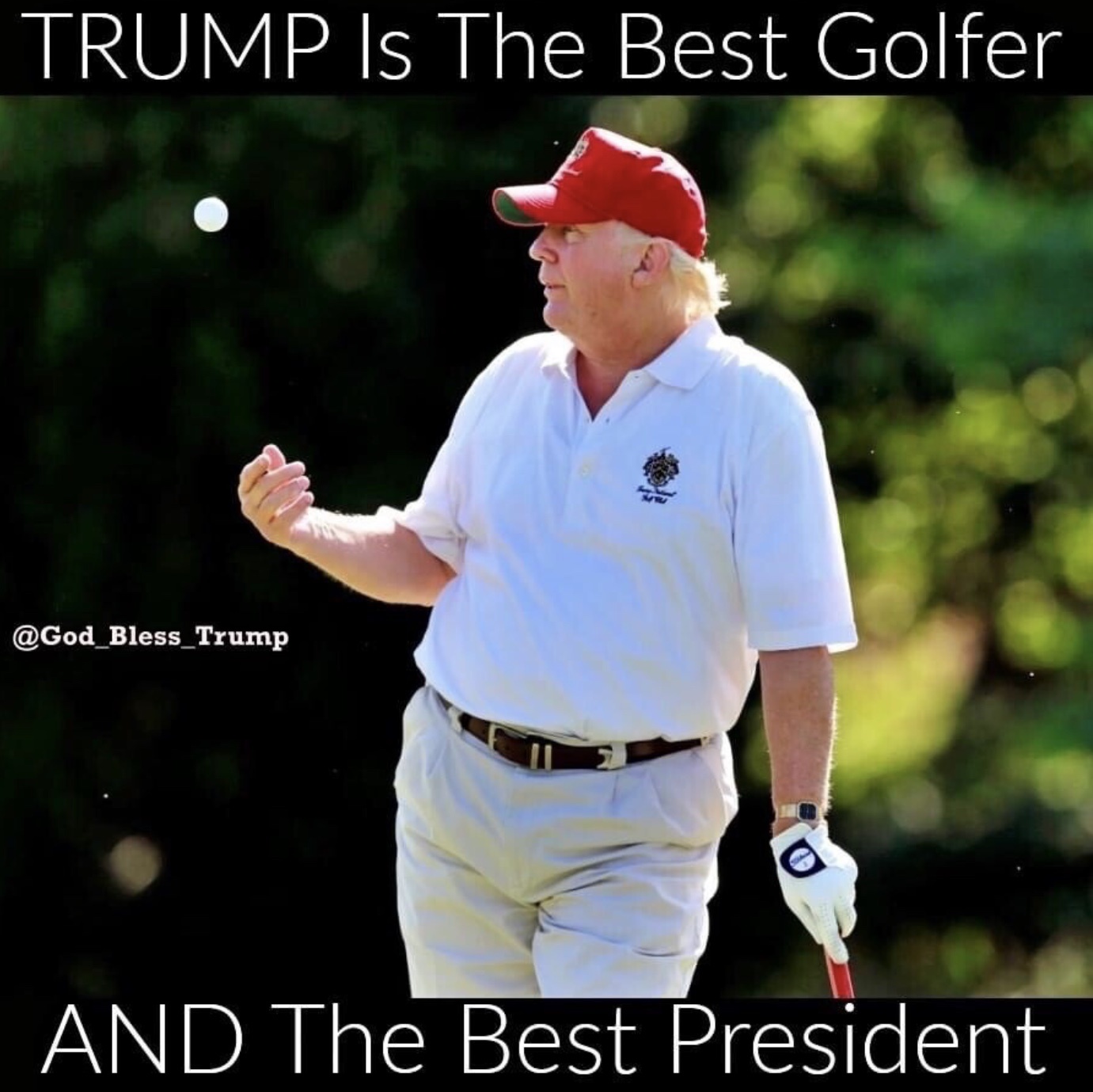 Disqus Profile - Panopea_Abrupta