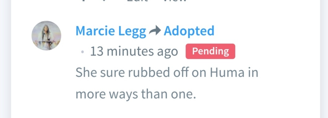 Disqus Profile - marcielegg