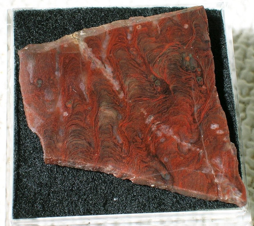 Stromatolitic chert