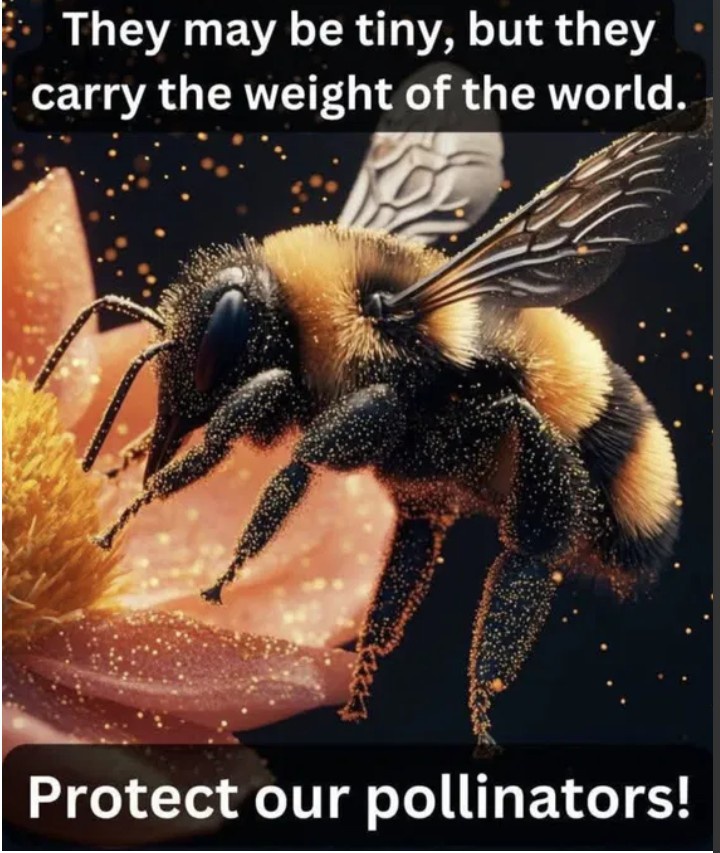 Disqus Profile - rolypolyolywhatdaqque