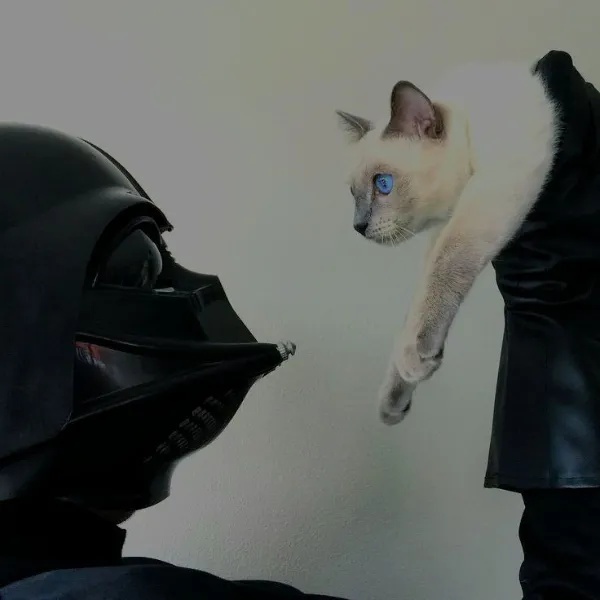 Disqus Profile - dougasher