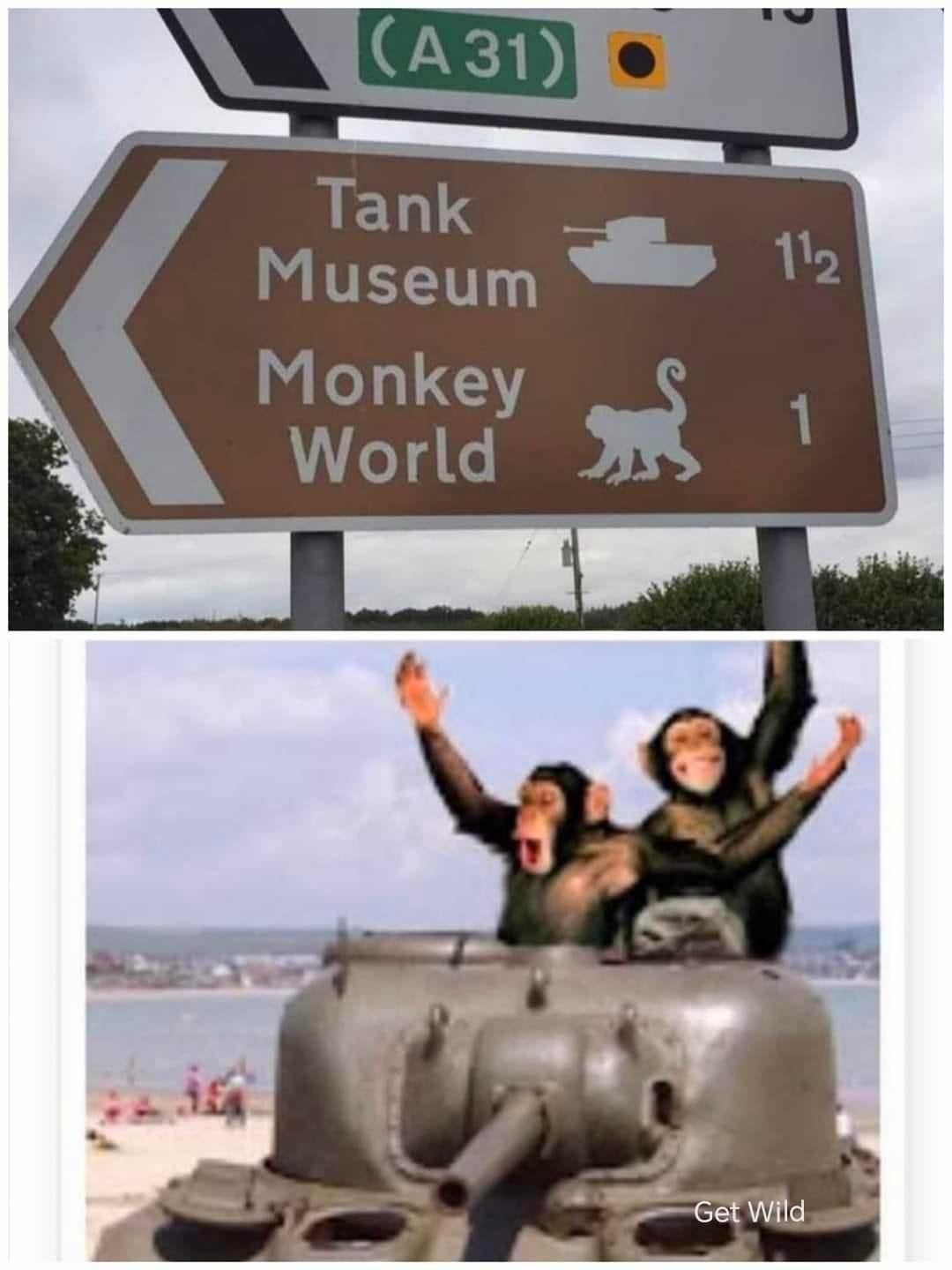 Disqus Profile - momerath