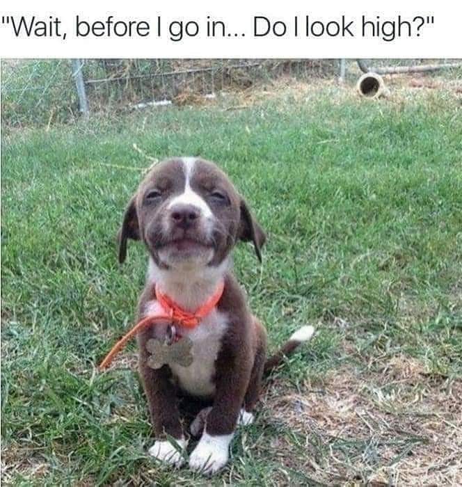 Job interview | Eatgrueldog